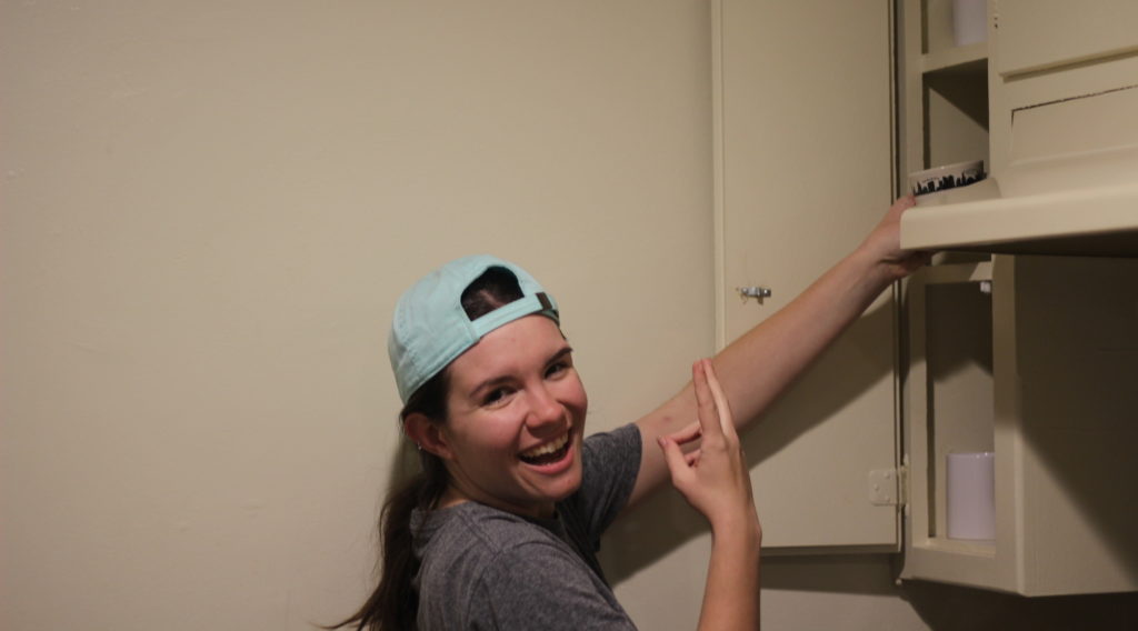 Self-Professed “Chill Roommate” Reorganizing Cabinets Again – The Sack ...